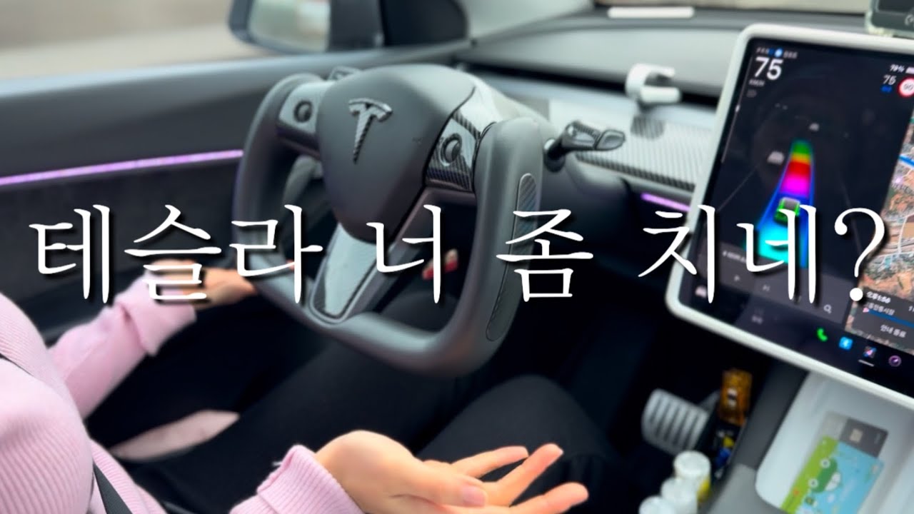 테슬라 너 좀 치네 전남 고흥 차박편 테슬라 모델y 테슬라 전기차 리뷰 테슬라 차박 테슬라 노지 캠핑