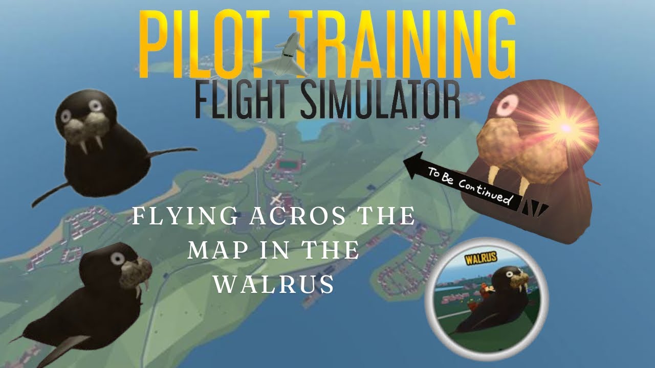 Going across the pilot training simulator map but in a walrus#aviation ...