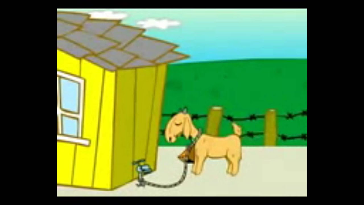 Mr caca y sus aventuras - YouTube