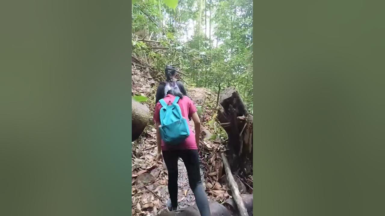 Hiking di Bung Tramuo/Stass heritage Nature Park.#anakdayak #kuchingsarawak #bungtramuo Stassbau ...