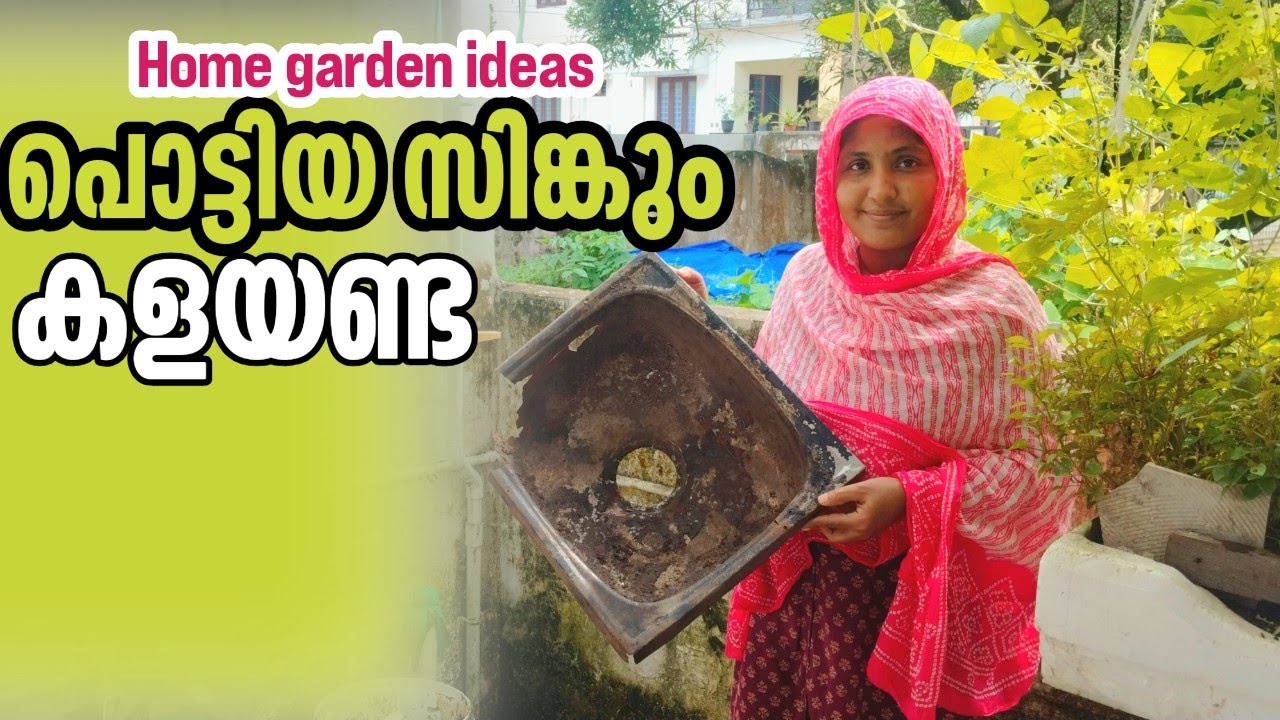 പൊട്ടിയ സിങ്കു മതി അടക്കളത്തോട്ടം സെറ്റ്ചെയ്യാൻ|Master Midha |Homegardenideas - YouTube