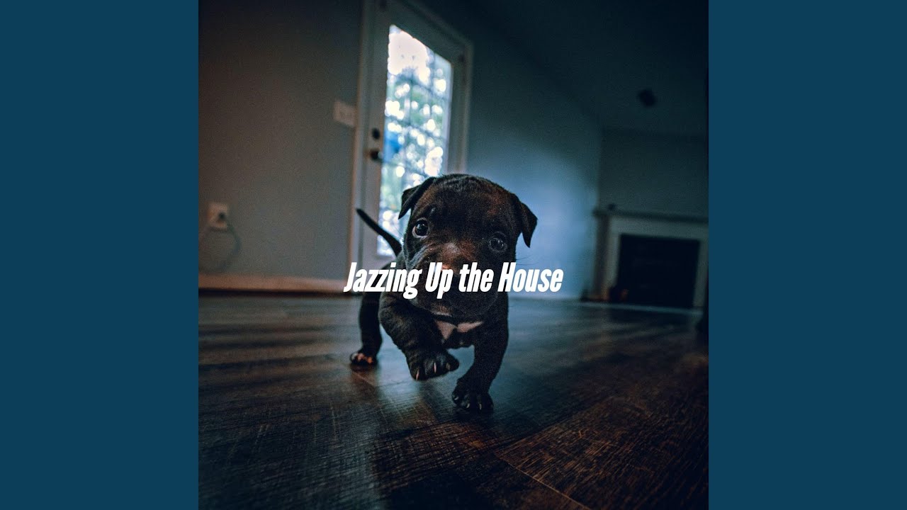 Modern Ambience for Classy Pups - YouTube