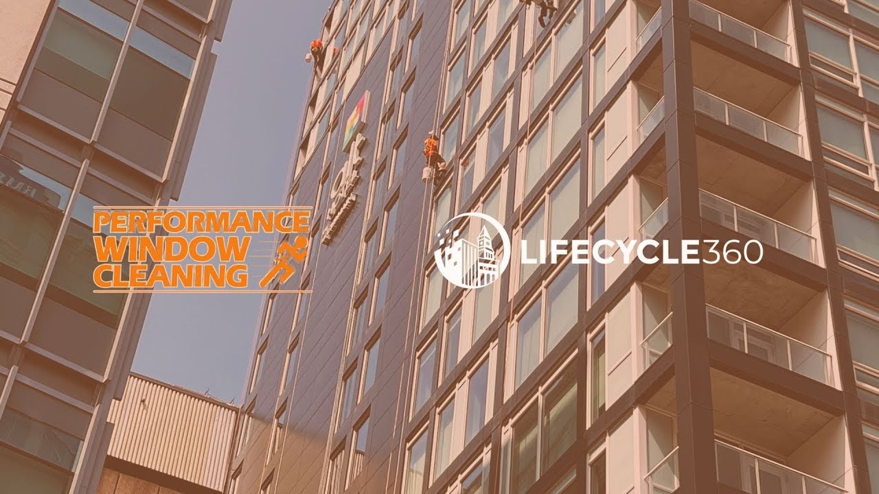 Lifecycle 360 mp4 - YouTube