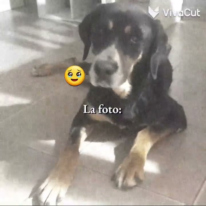 10 de abril de 2025 - YouTube