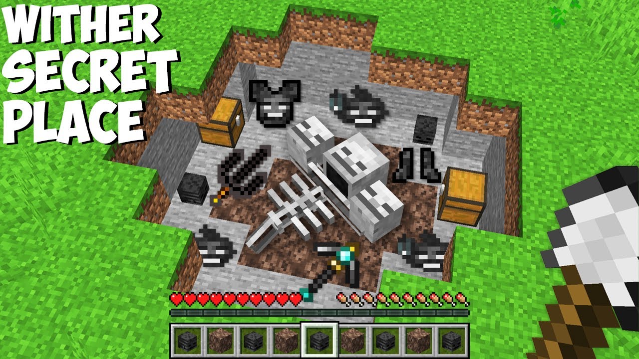 I DIG DIRT and FOUND WITHER SECRET PLACE WITH RAREST ITEMS in Minecraft ...