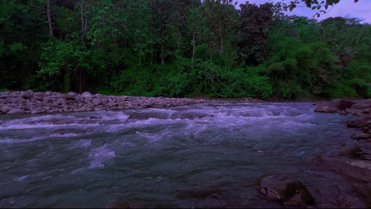 4K-HDR | Soft Flowing River in Forest for Inner Peace and Restful Sleep ...
