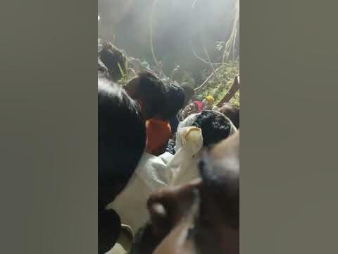 Chilikala guttanundi sammakka thalli ni ela thisukoni vastunnaro chudandi #medaramjathara2024 ...