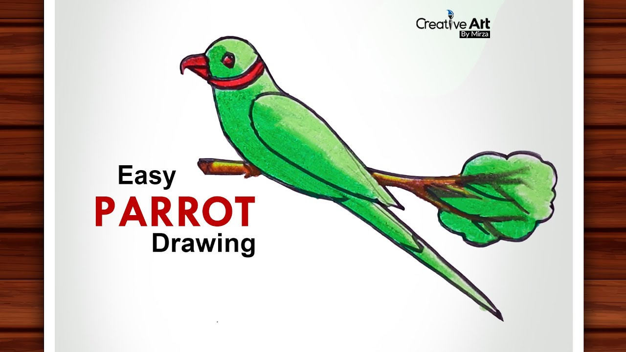 How to draw parrot step by step easy | Draw a parrot easy for beginners ...