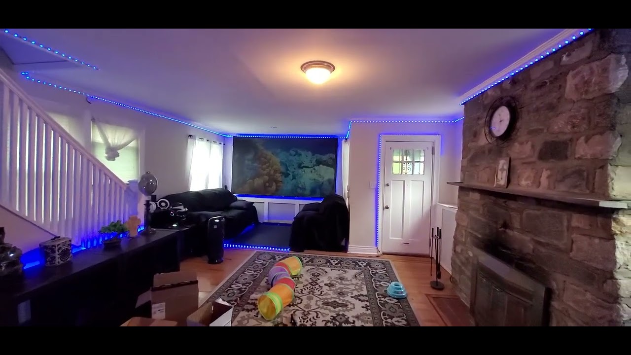 Why our projector ALR screen paint environment demonstrations are ...