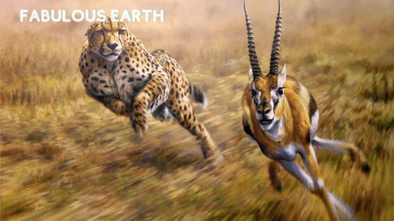 Fierce Battle: Heart-Wrenching Moments as Antelopes Fall Prey to ...