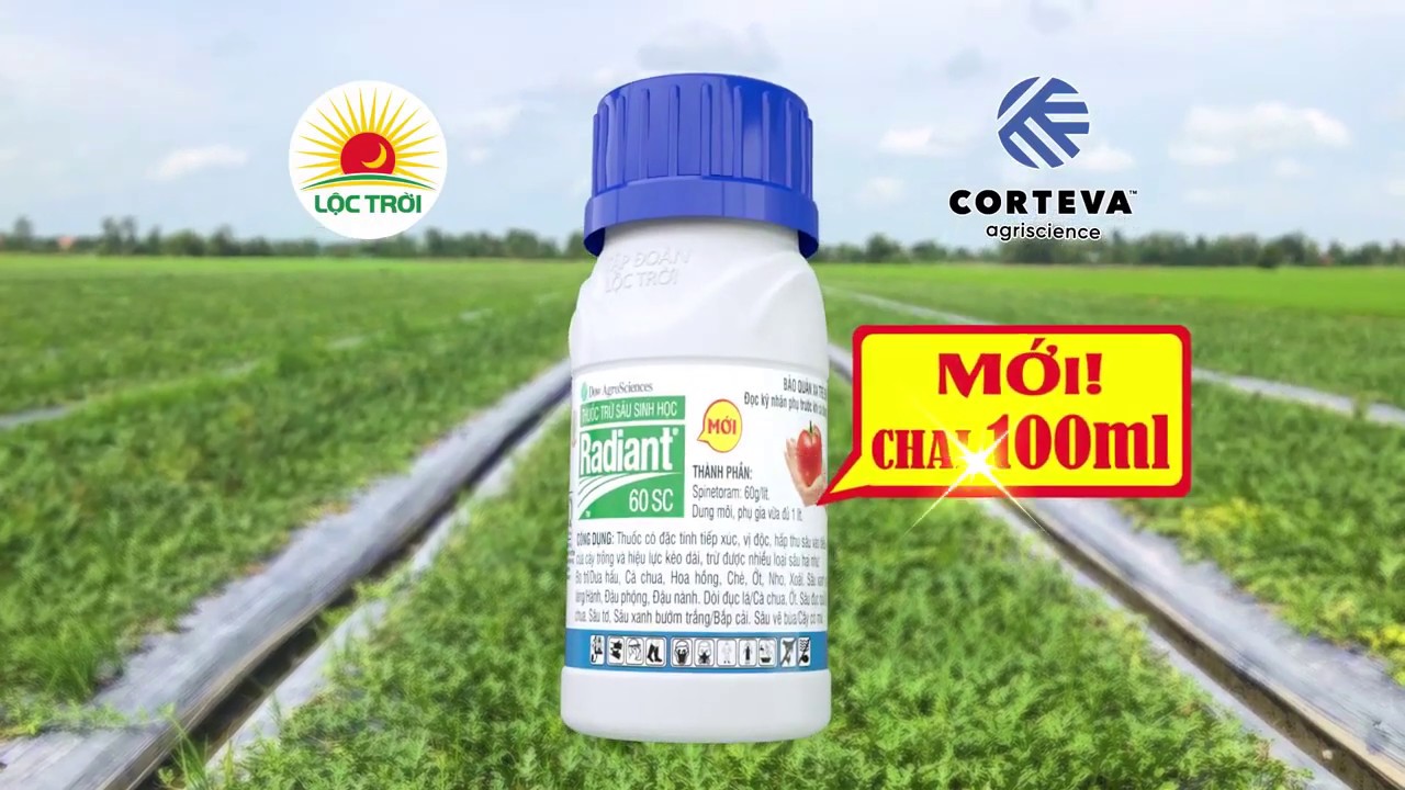 Radiant 60SC - Khuyến mãi 11/2019 - 02/2020 - YouTube