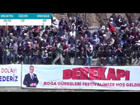 YUSUFELİ DEREKAPI BOĞA GÜREŞLERİ 3. GÜN 2026