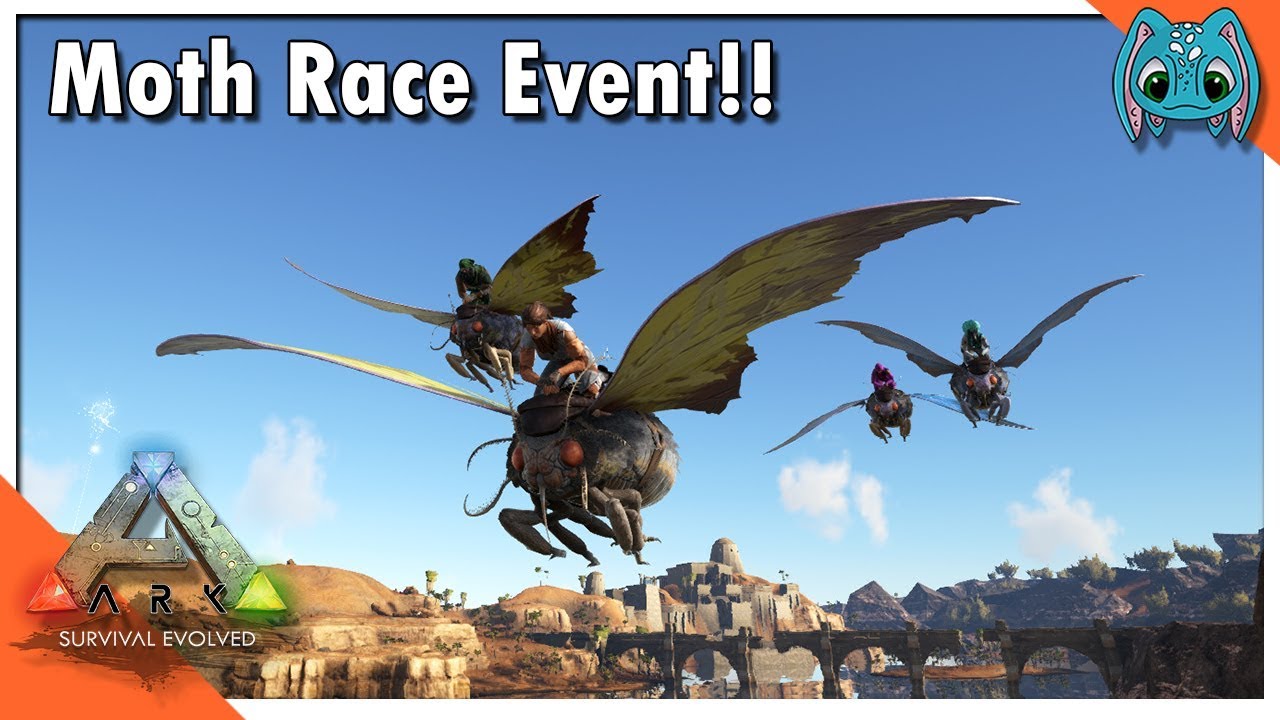Moth Race Event | Sub Server - YouTube