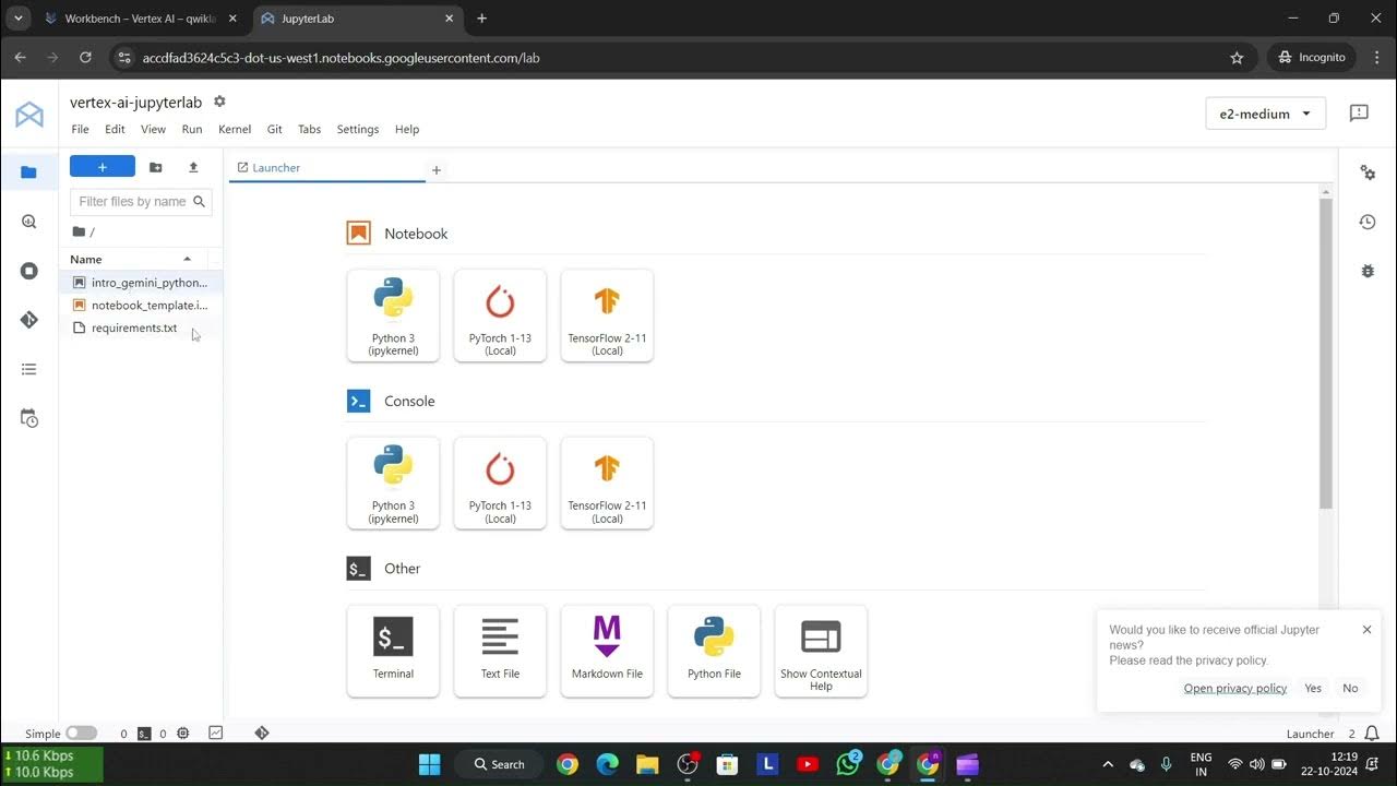 Module 13 Lab 3 Getting Started with the Vertex AI Gemini API and Python SDK - YouTube