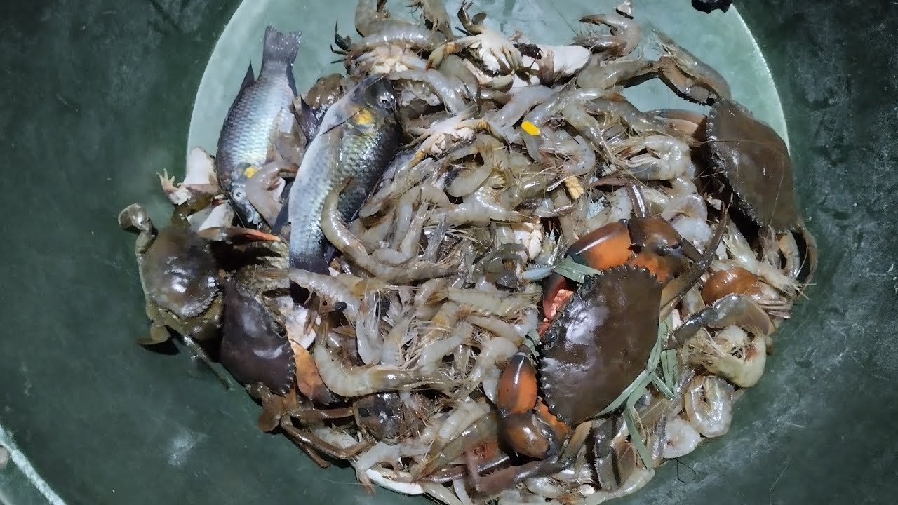 naka jackpot si kalagaslas ng maraming swahe sa pangingilaw - YouTube