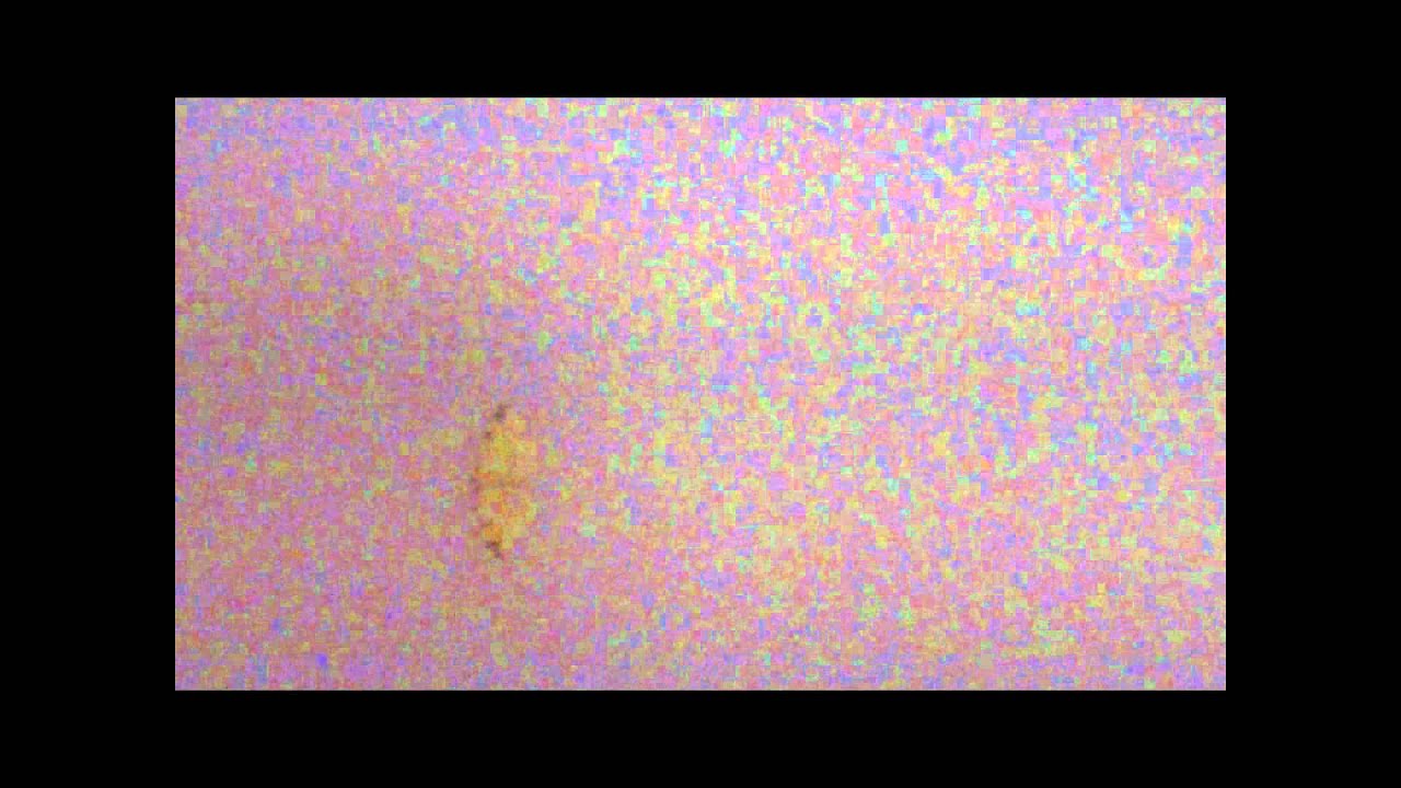 A MOTH FLEW IN MY BATH! Stupid thing, a butterfly would't do that! Mottephobia the fear of moths ...