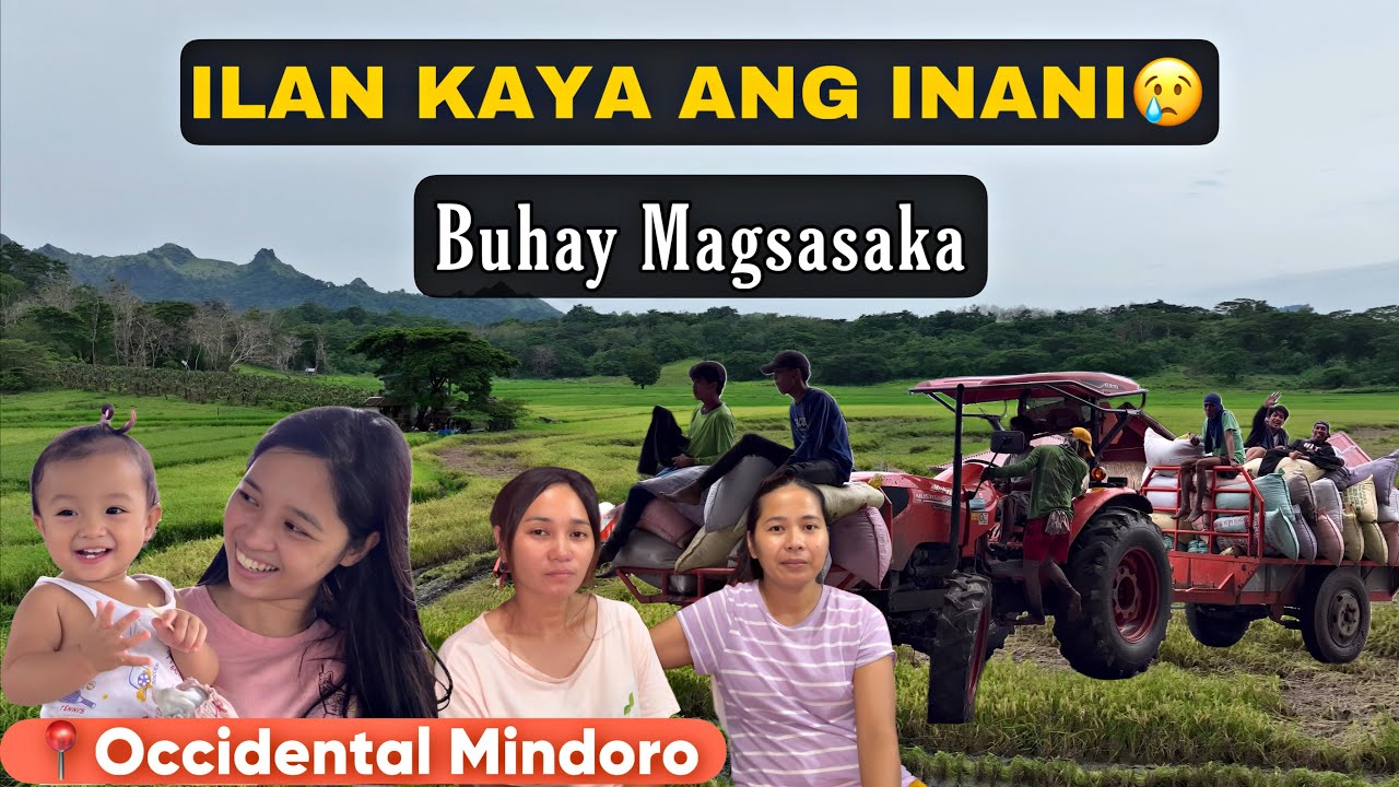 Ilan kaya ang inaning palay ni Master Dragon | Bagsak ang ani ni master ...