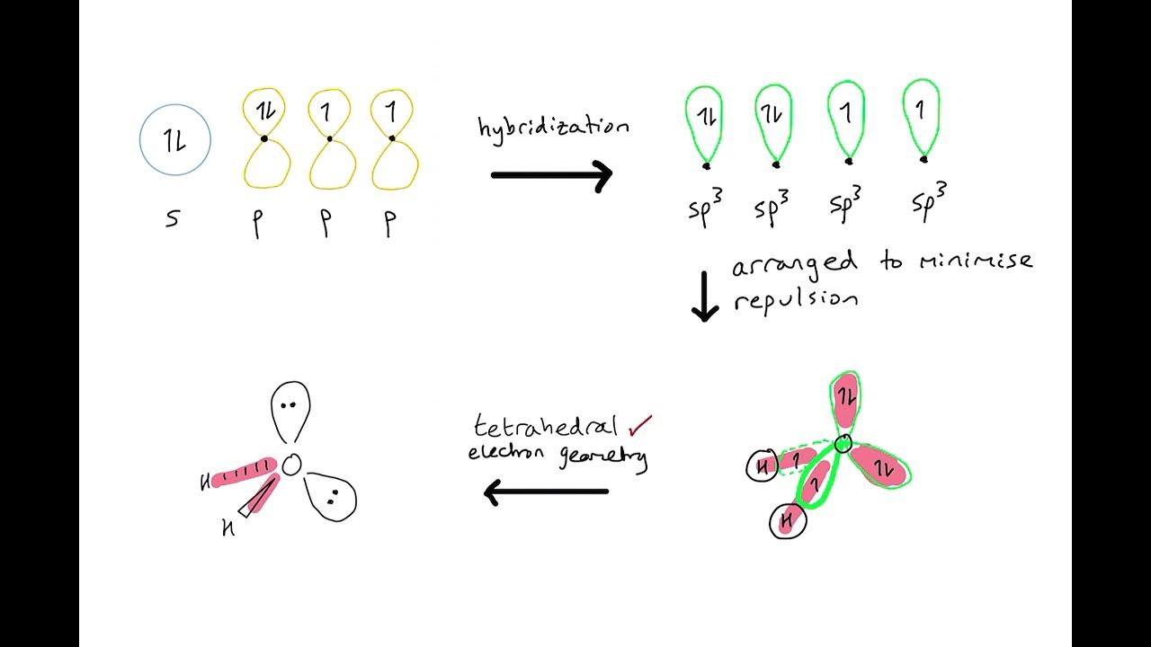S2 2 16 What Is The Hybridisation Of Oxygen In A Water Molecule Hl