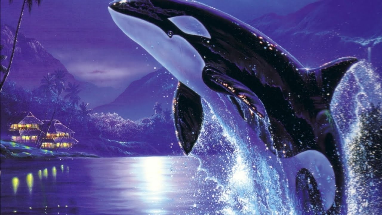 Orca Mega Show || Dolphin || Orca || Killer whale || Orca Dance Show in ...