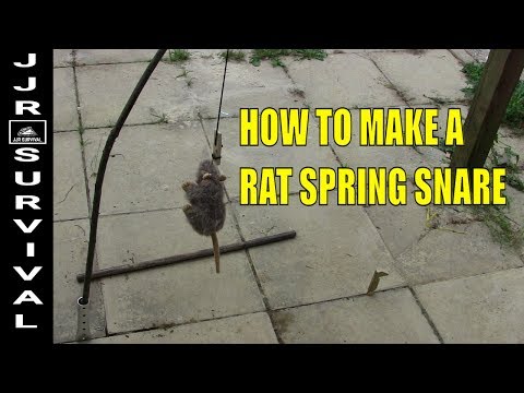 HOW TO MAKE A SPRING SNARE RAT TRAP