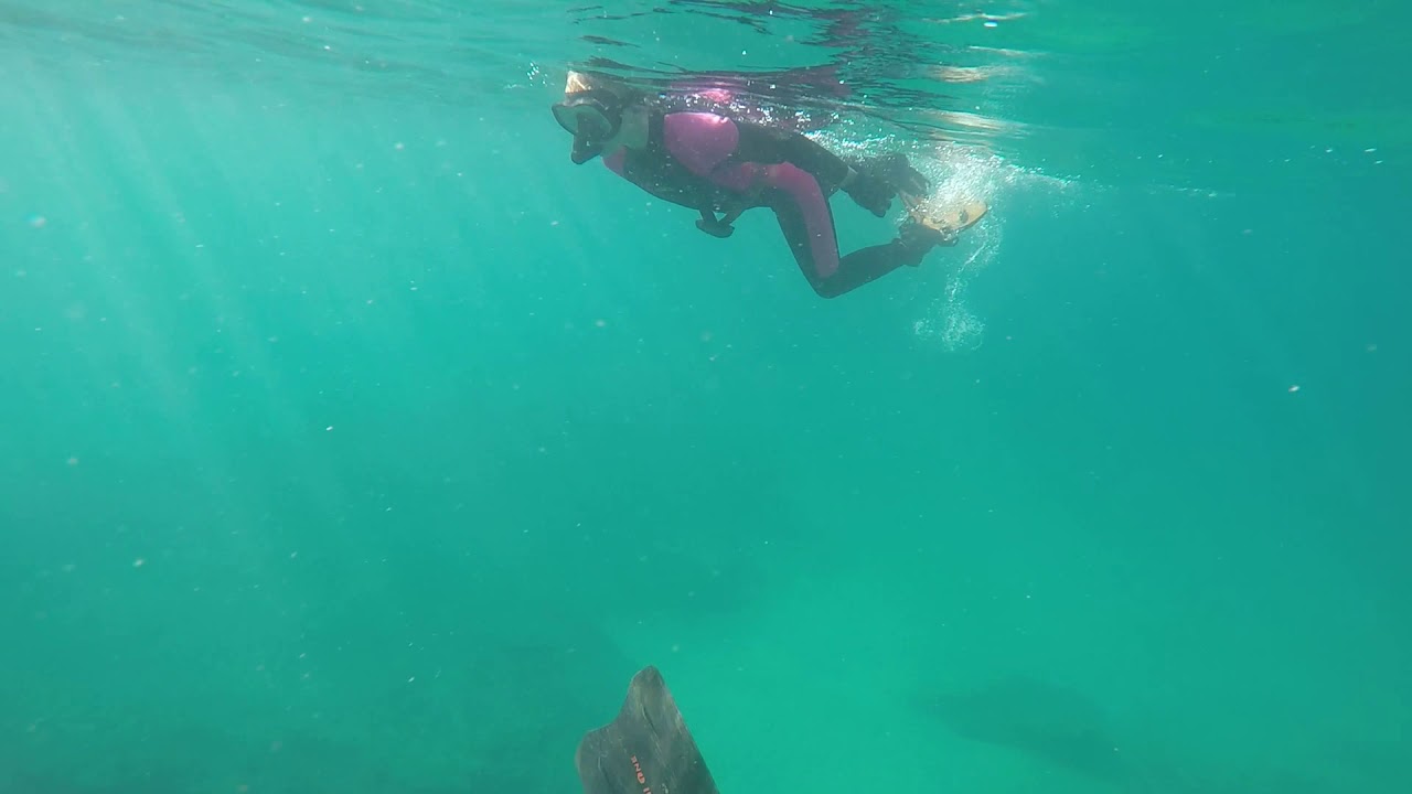 Point Arkwright | Freediving family | Freediving with a 12 yr old | 20 ...