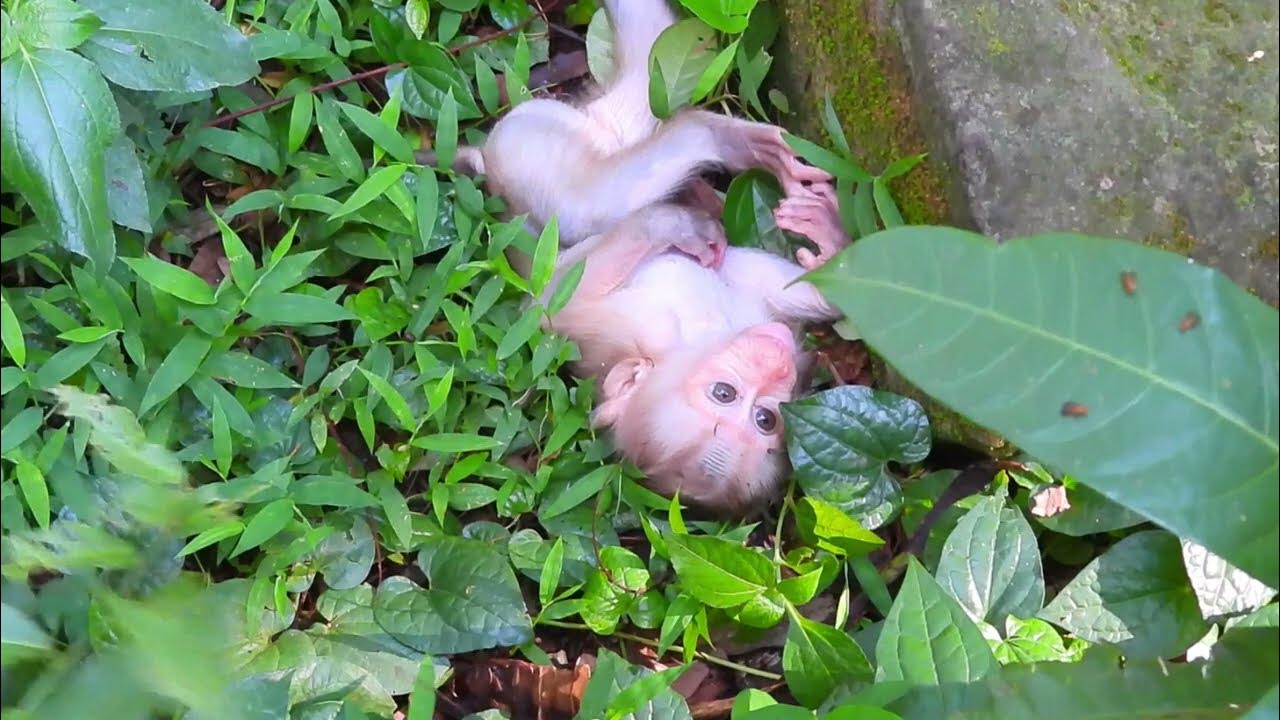 Oh God help! What happens BB? It's annoying Mom..., So lovely, Likely ...