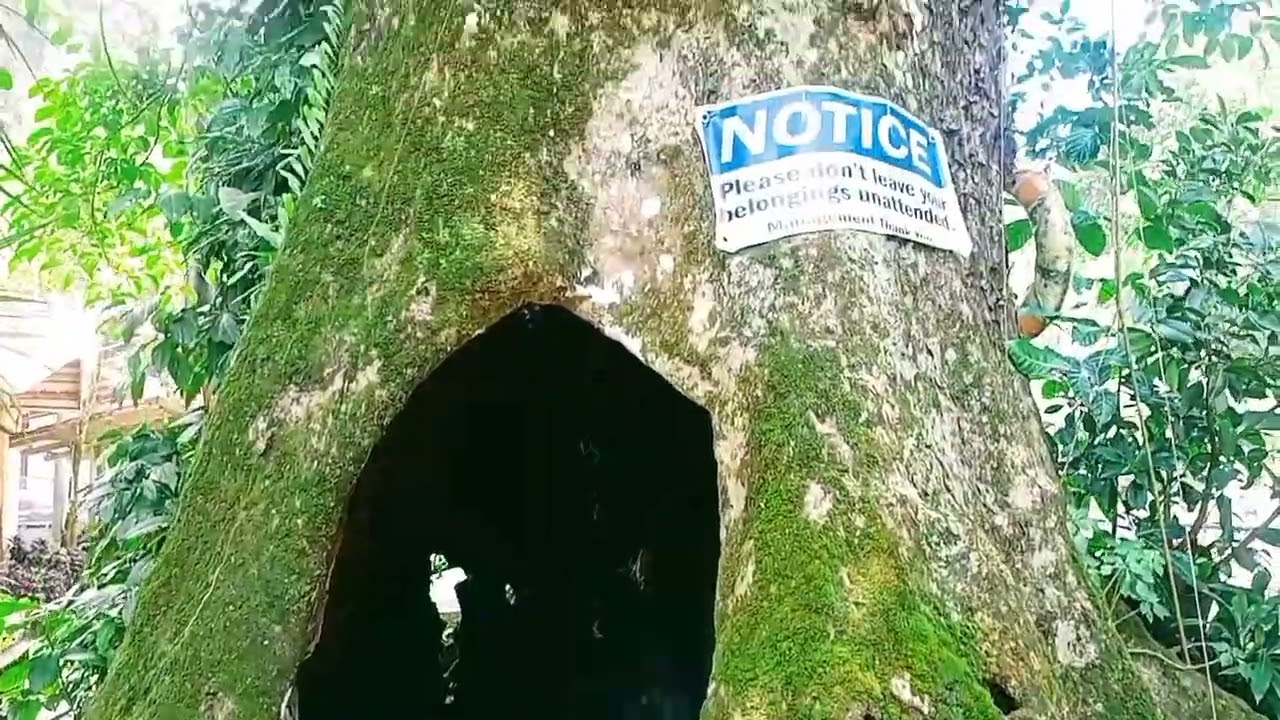 Hurom-Hurom Cold Spring, Nabas, Aklan, Philippines - YouTube