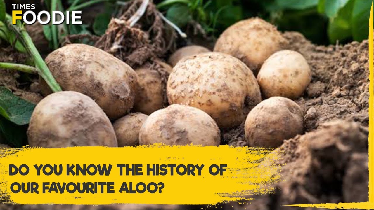 Did you the HISTORY of potato aka your favourite root vegetable - 'Aloo ...