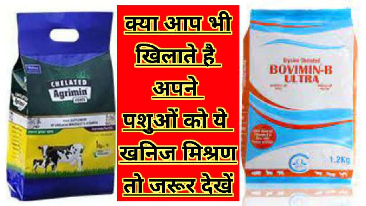Bovimin B Ultra v/s Agrimin Forte konsa h Sabse Best - YouTube