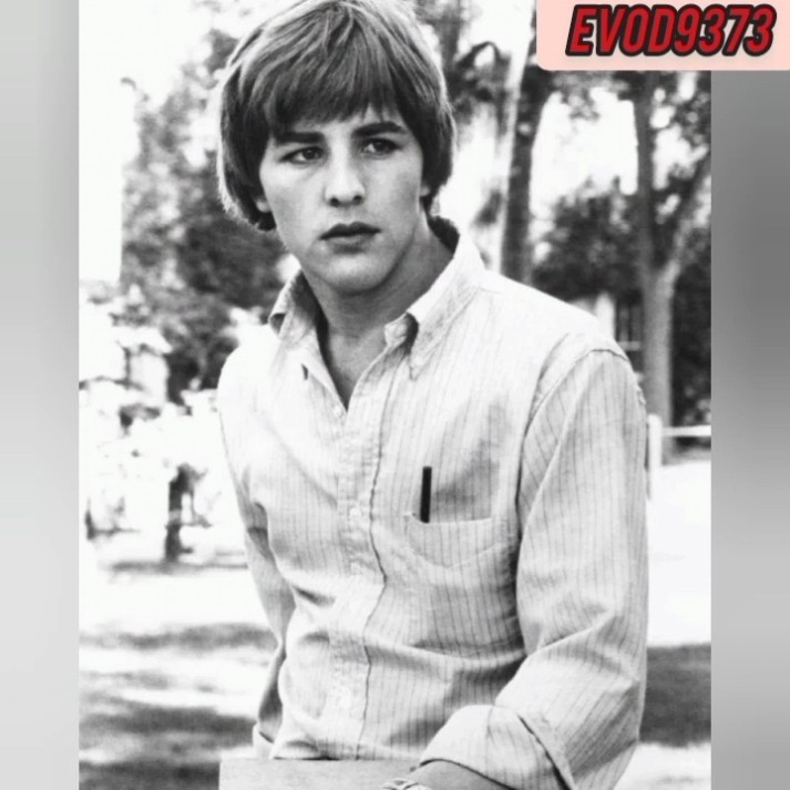 Don Johnson - 75 // Rebel ridge; Miami Vice ; high heat; the collective ...