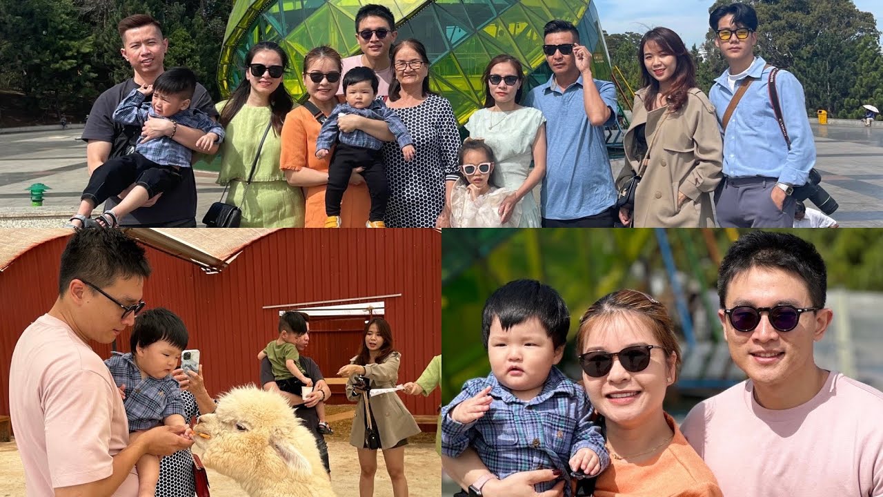 Lang Thang Đà Lạt. Tham Quán Cafe Chika Farm. Kyle Cho Động Vật Ăn Ko ...