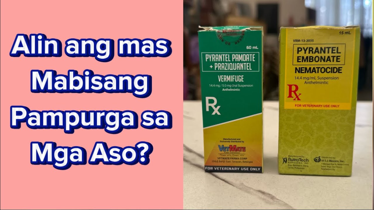 VERMIFUGE O NEMATOCIDE? ALIN ANG MAS MABISANG DEWORMER SA MGA ASO ...