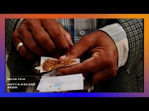 Redkanlı Keleşê Sedoyê Şolki'nin Biyografisi