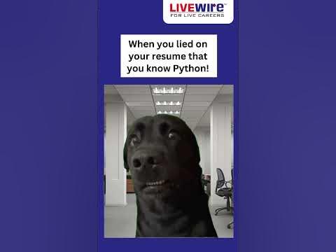 Caught lying on your resume? Time to actually learn Python before you ...