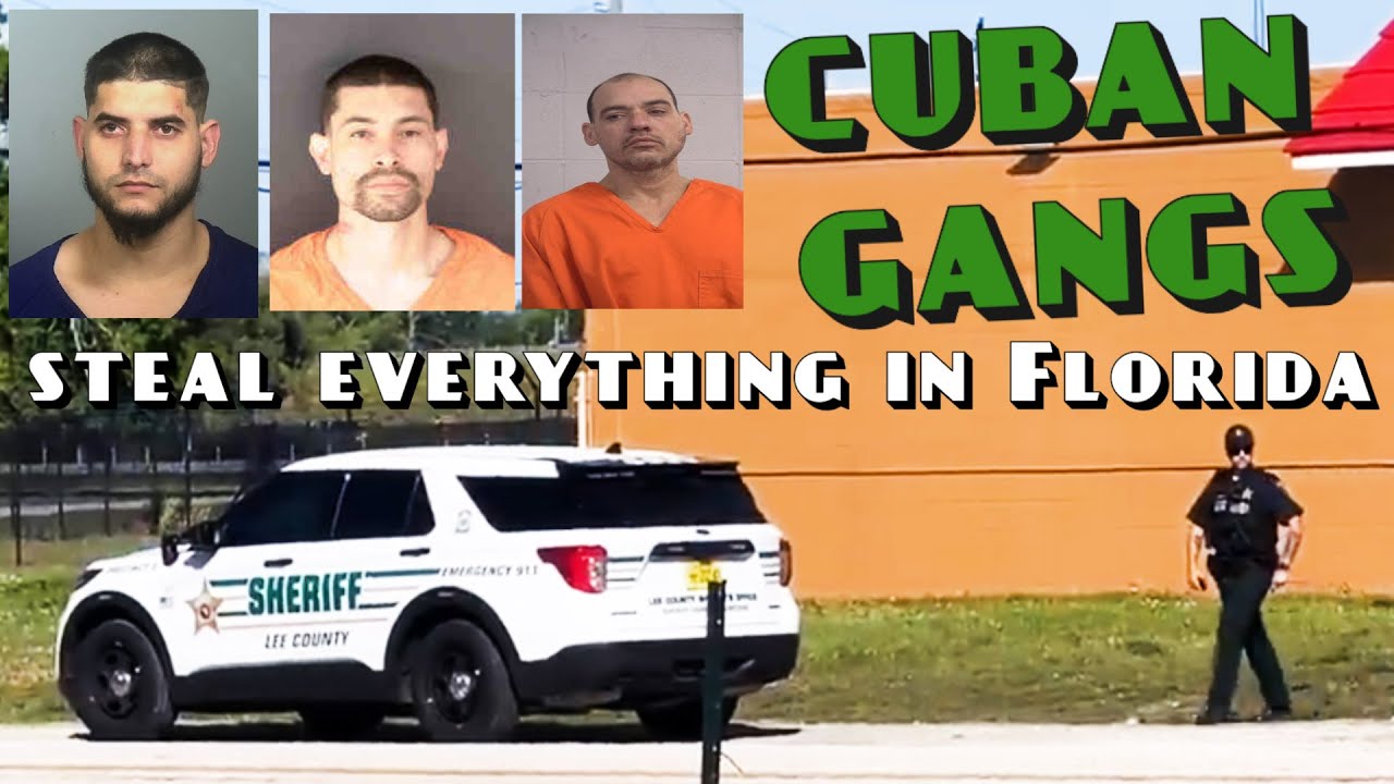Cuban Gangs Are Stealing Everything In Florida! Crime Syndicates ...