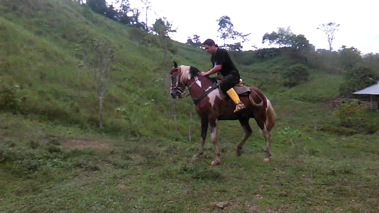 CABALLO APACHE AMERICANO - OJOS AZULES - YouTube