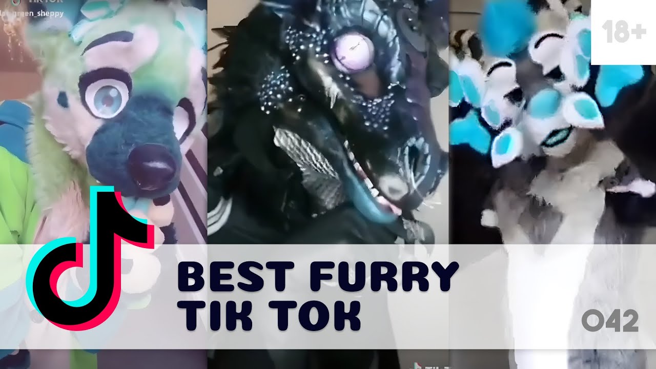 Furry Tik Toks compilation [ Ep 042 ] - YouTube