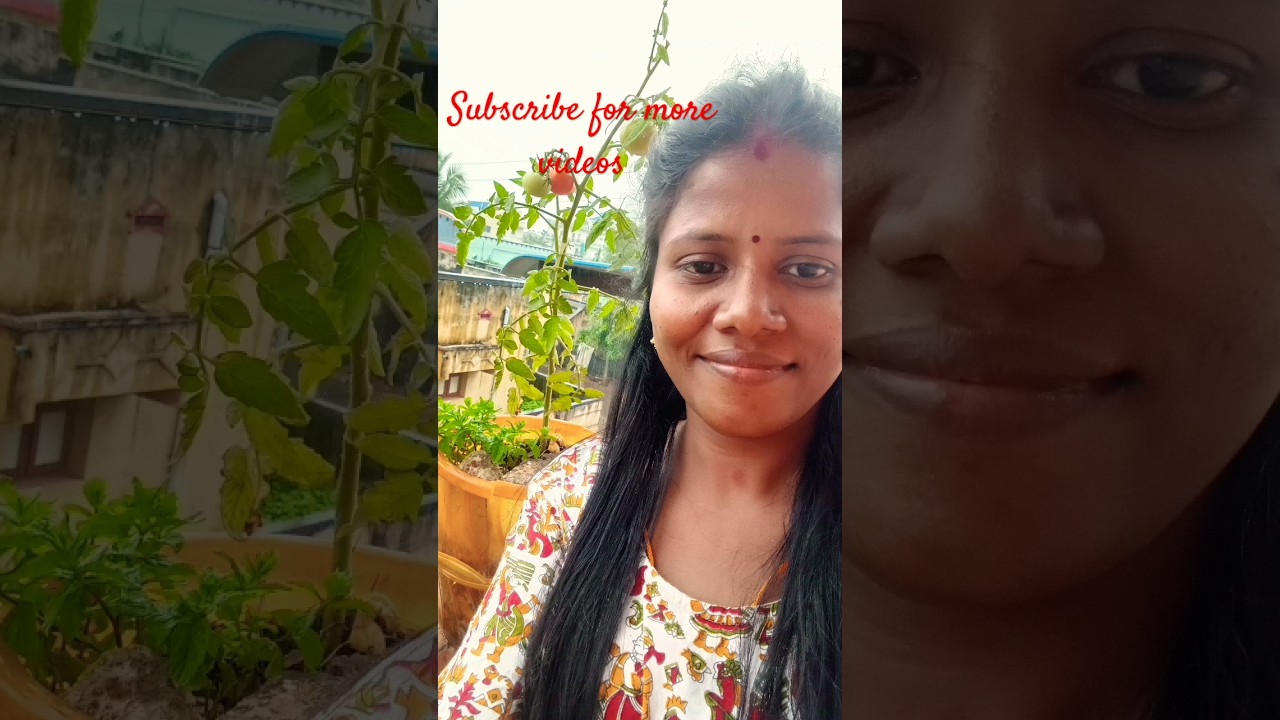 i am searching for my identity 🥰 video shorts 🥰 - YouTube