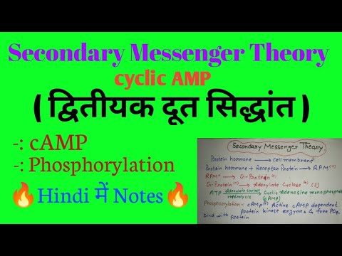 Secondary Messenger Theory @akhileshstudyvanjan - YouTube