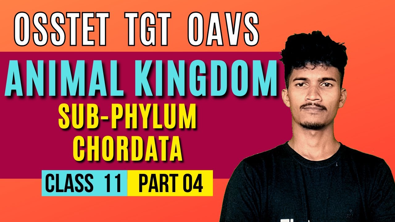 [L11] ANIMAL KINGDOM || CHORDATA-SUBPHYLUM || OSSTET BIOLOGY || CHT ...