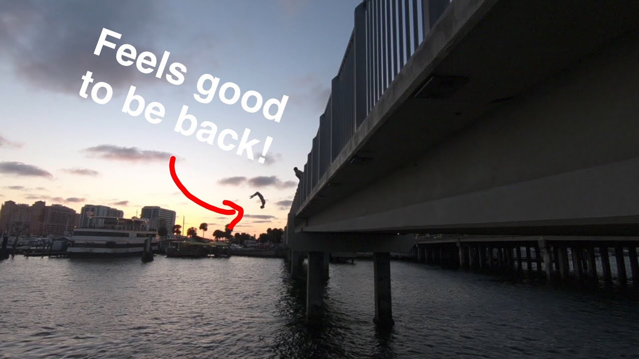 I Guess You Could Say Im Back YouTube i-guess-you-could-say-im-back-youtube
