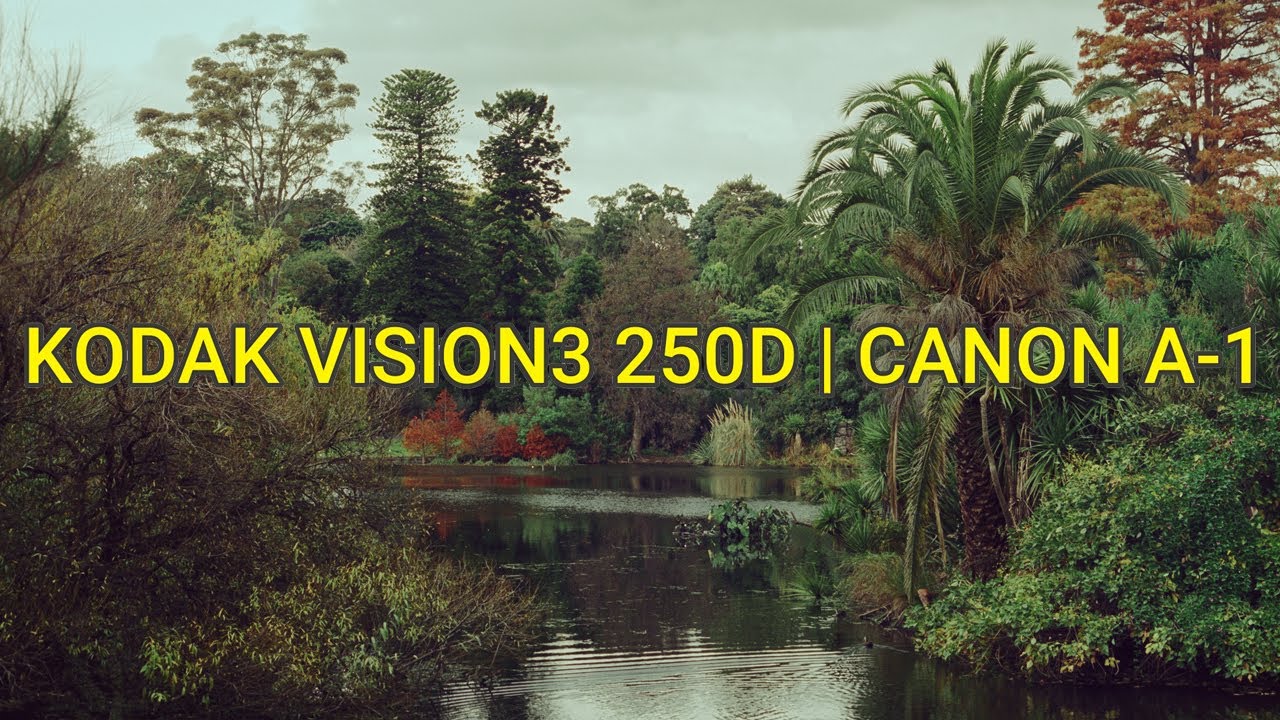 Shooting Kodak Vision 3 250D | Canon A-1 - YouTube