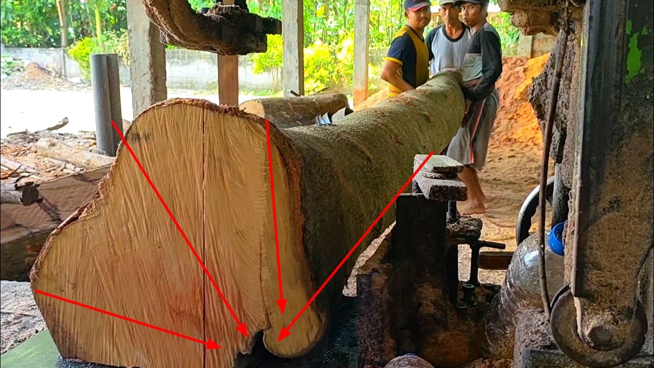 Meledak jiwa melihat lubang apakah gerangan..kayu wadang berlubang ...