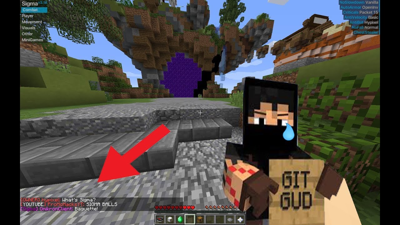 Hypixel got Sigma I Ligma balls WatchDog - YouTube