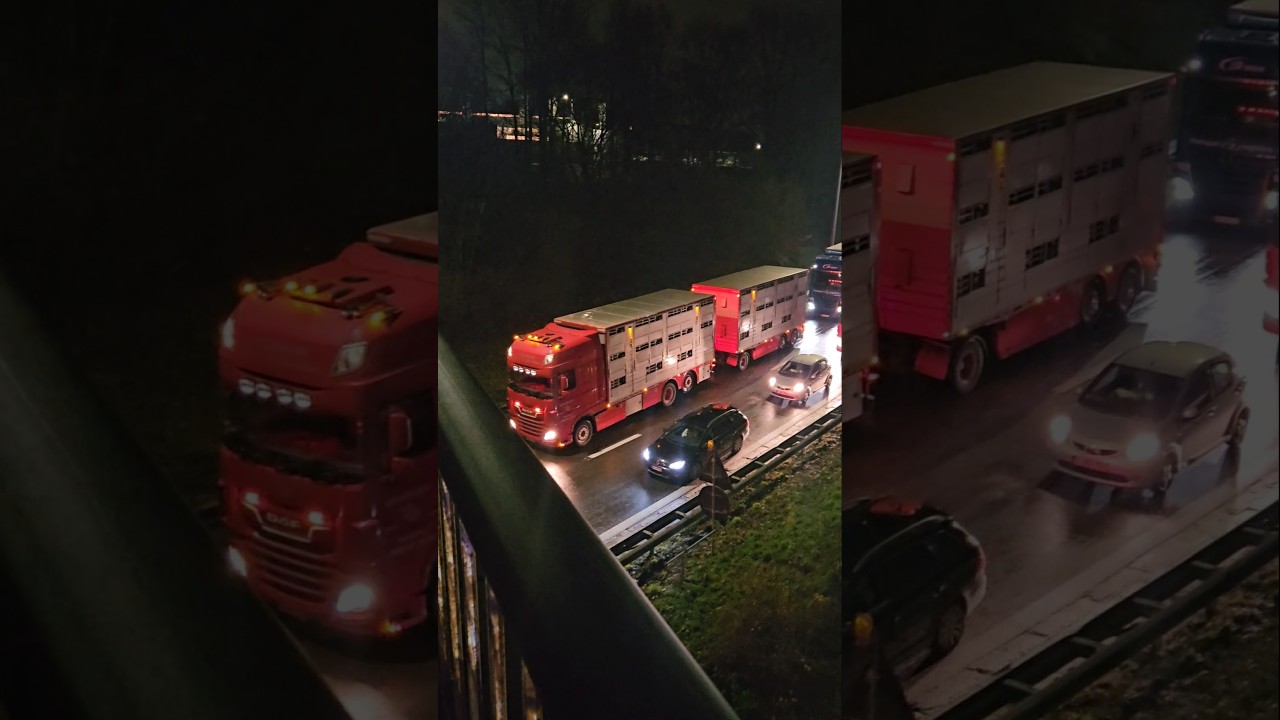 🟥DAF train in traffic🇳🇱 #daf #daftrucks #truck #spotting # ...