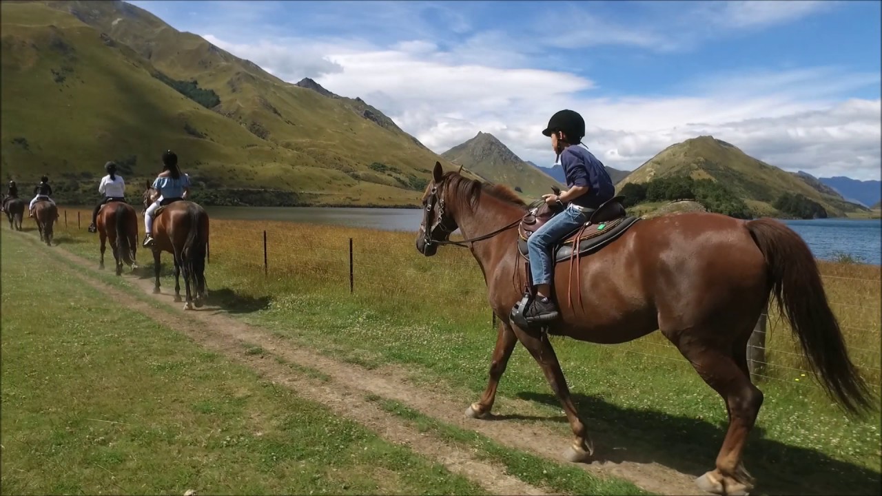 Riding Horses in Queenstown - YouTube