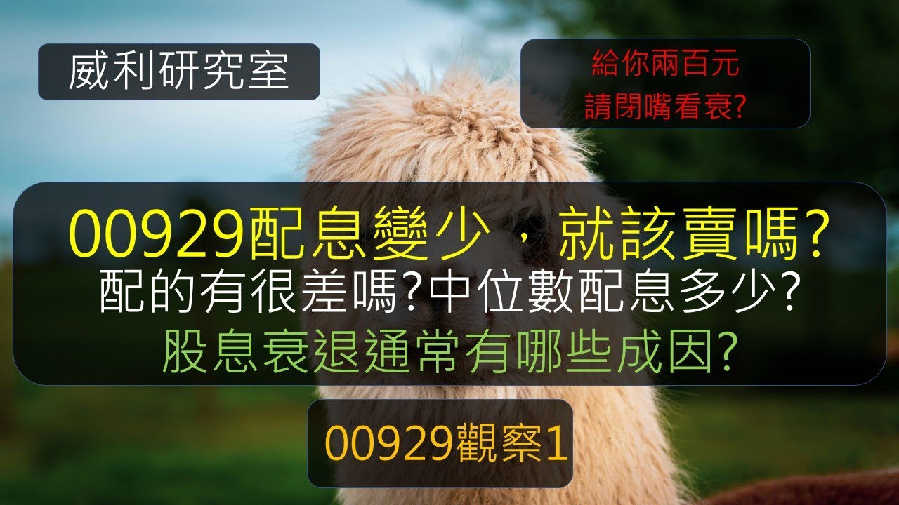 S20EP18 | 00929 配息變少，就該賣嗎?配的有很差嗎?中位數配息多少?股息衰退通常有哪些成因?給你兩百元，請閉嘴看衰?【00929觀察1】 - YouTube
