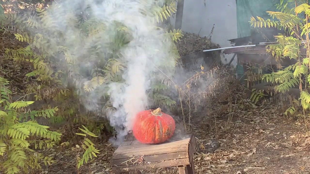 Heirloom Thanksgiving Pumpkin Blow Up - YouTube