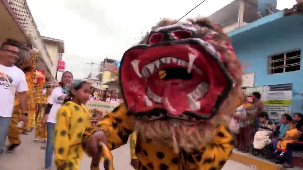 SIENTE NUESTRA TRADICIÓN "TIGRADA CHILAPA 2019" - YouTube