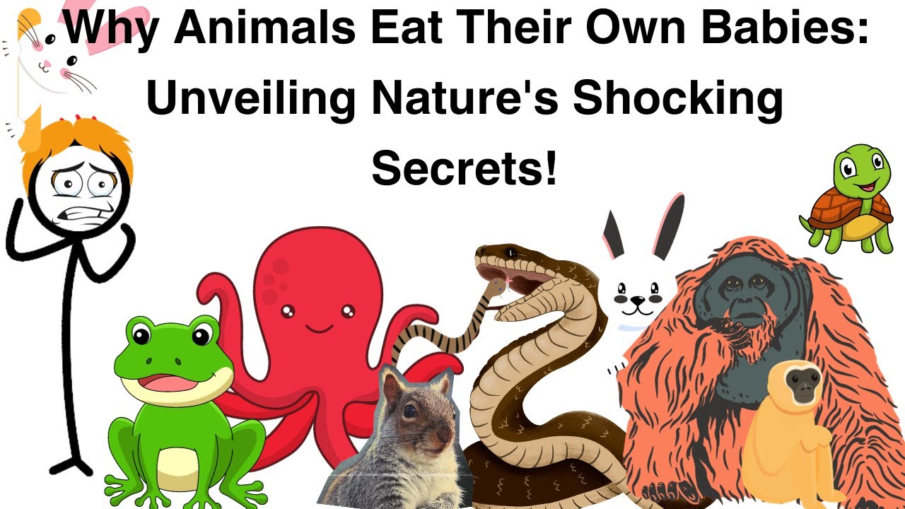 Wild Moms: The Starting Truth Behind Animal Infanticide | weird history ...